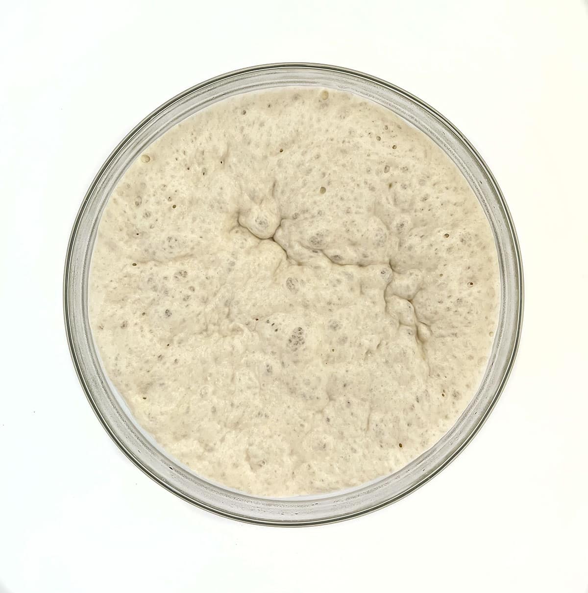 Simple Rustic Bread - Good Real Food